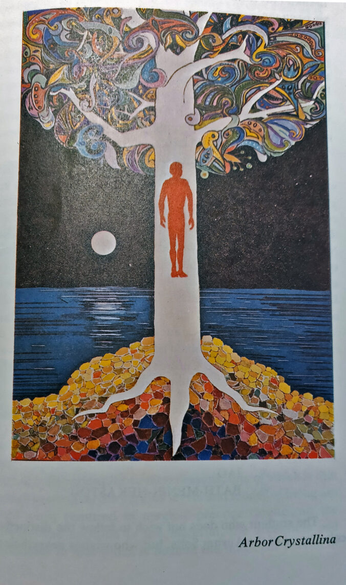 aurum solis Archives - Eightfold